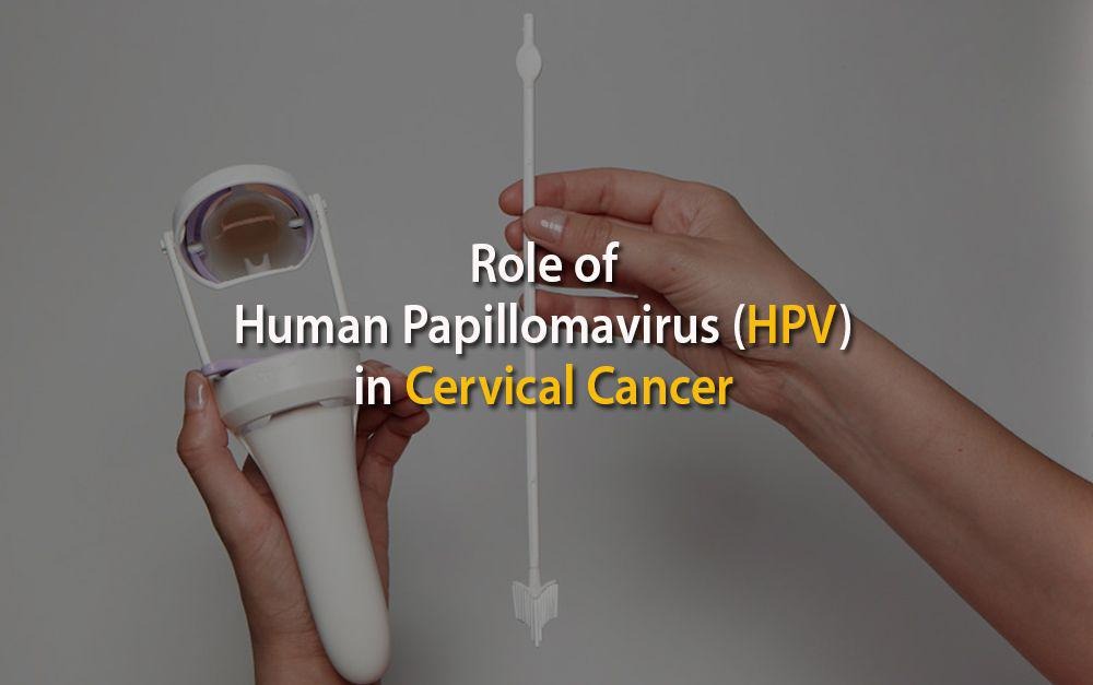 HPV test for cervical cancer in India - Doctors and Hospitals