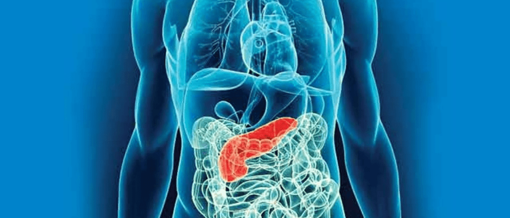 Intestinal Transplant Treatment in India, Digestive tract, hospitals
